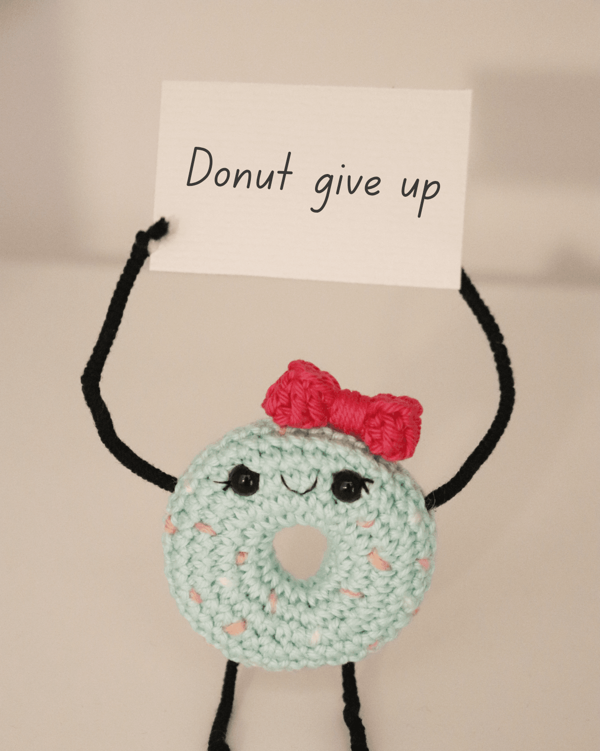Mini Donuts Free Crochet Pattern - Woolshie